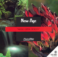 Wide Open Spaces – PianoDisc Music Store